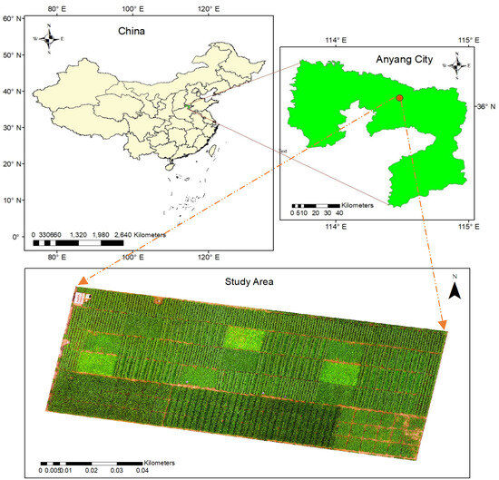 Comparative Analysis of Machine Learning Algorithms for Object-Based ...